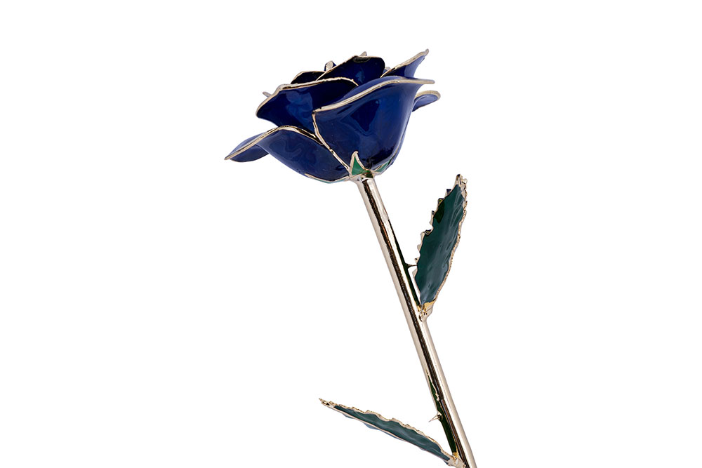 Eternal Blue Velvet Rose - Timeless Blue Velvet Elegance