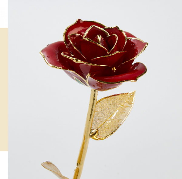 Eternal Roses: The Perfect Gift That Lasts Forever